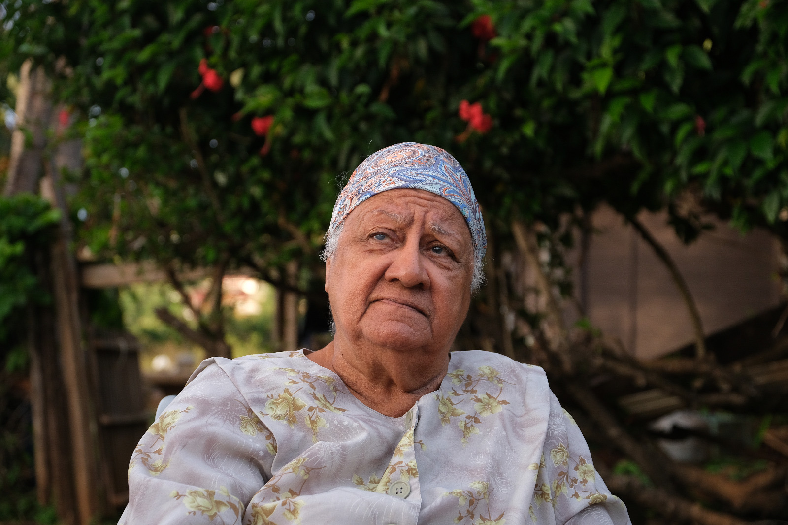 Eunice Maria de Oliveira é a grande homenageada dos 520 anos de ...