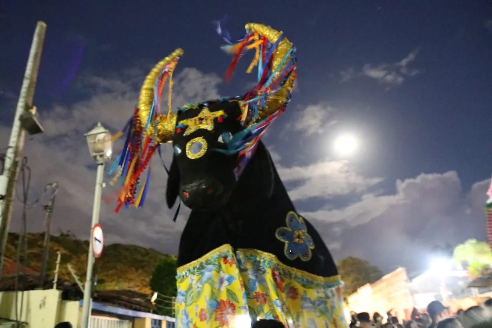 Boi da Macuca se torna patrimônio de Pernambuco